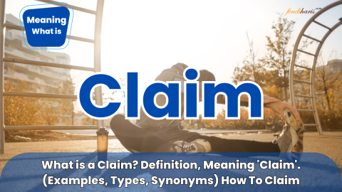 What is a Claim? About Meaning 'Claim'