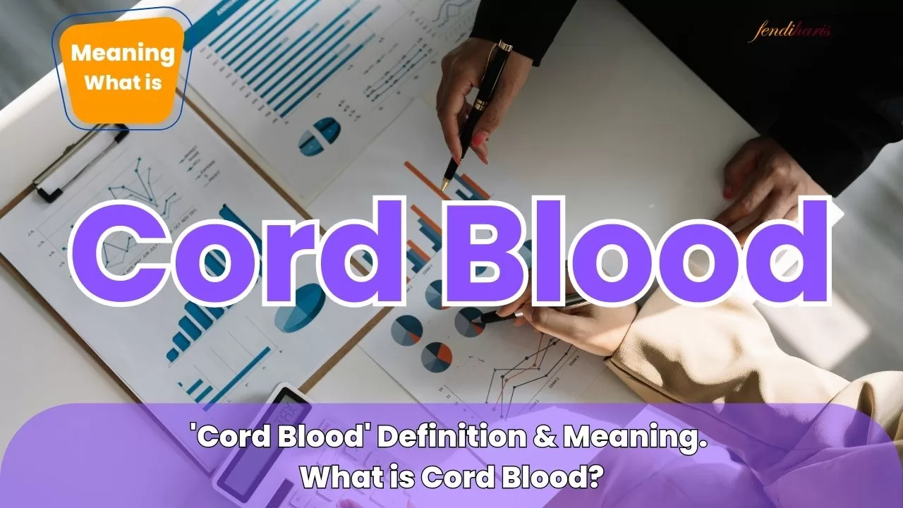 Cord Blood Definition & Meaning | What is Cord Blood?