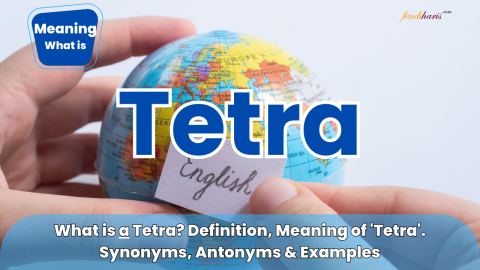 What is a Tetra? Definition, Meaning of 'Tetra'