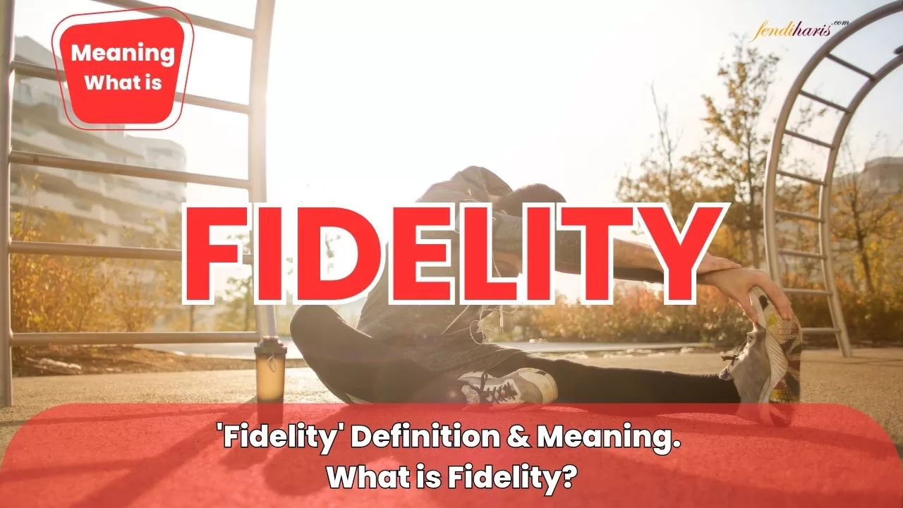 FIDELITY Definition Meaning What Is Fidelity