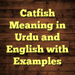 Catfish Meaning in Urdu and English with Examples ( مچھلی )